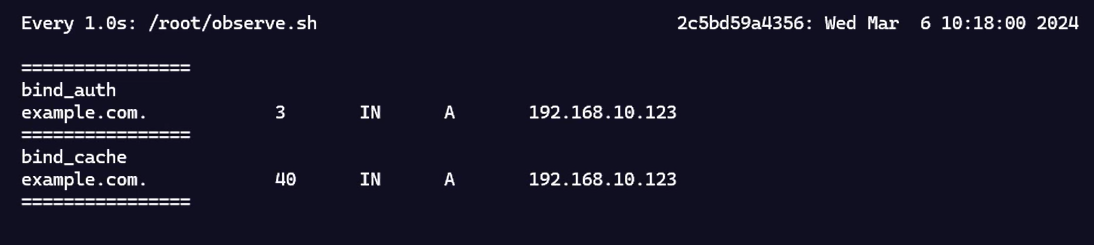【実験】DNSのゾーン情報はいかにして伝わるのか？ | cloud.config Tech Blog